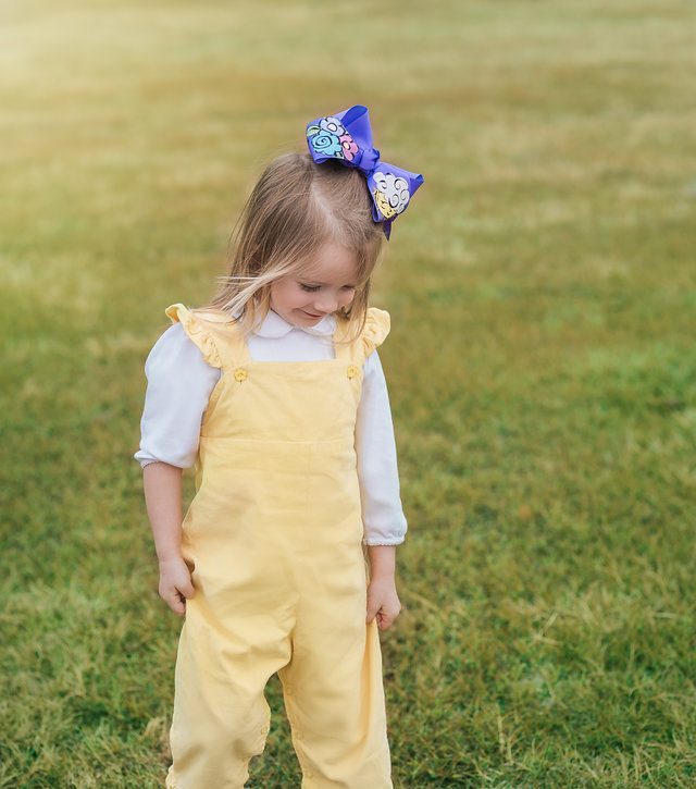 Two Sisters Bows | Boutique Hair Bows